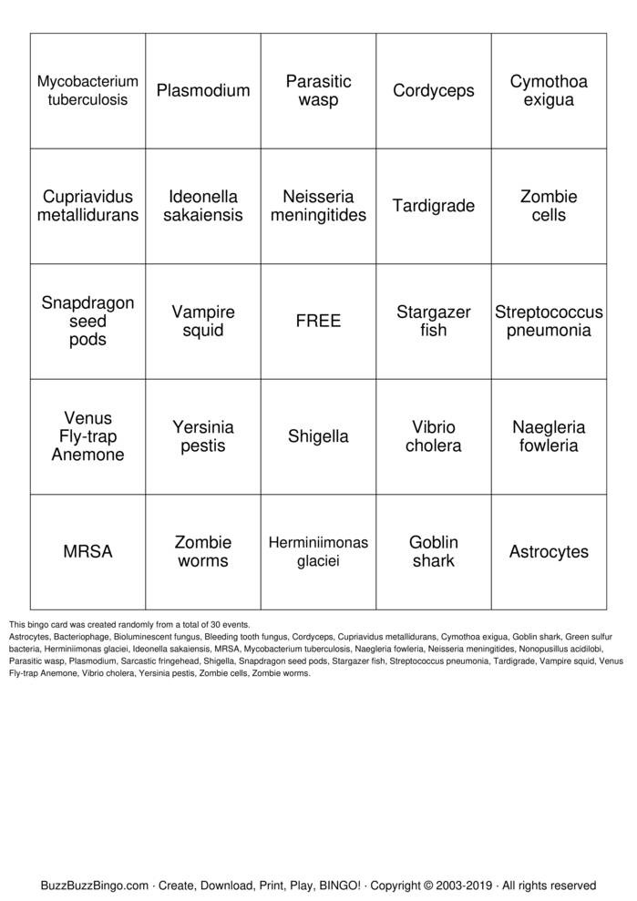 Halloween Science Bingo! Bingo Cards to Download, Print and Customize!