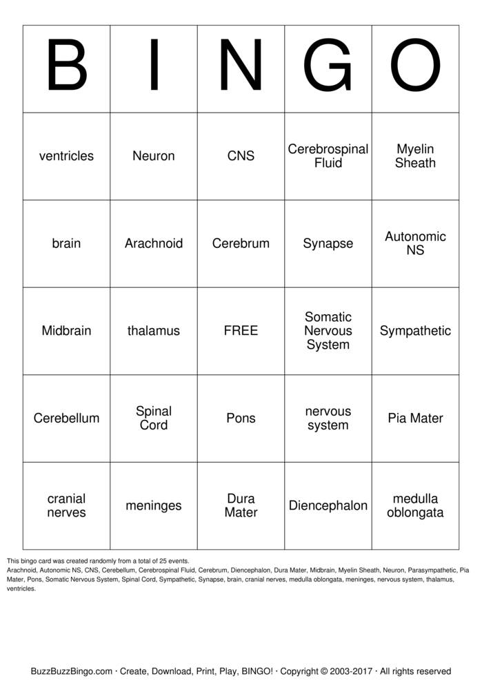 Nervous System Bingo Cards to Download, Print and Customize!