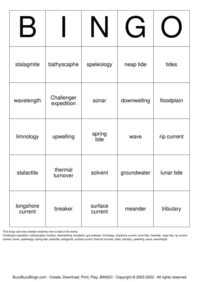Vocabulary Bingo Cards to Download, Print and Customize!