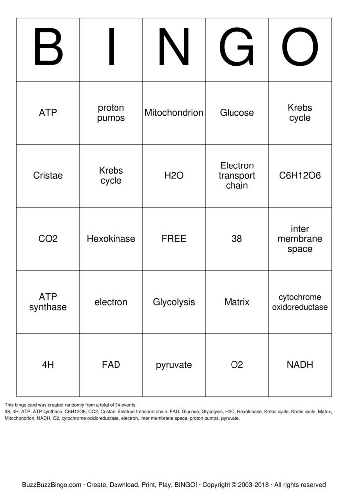 Cellular Respiration Bingo Cards to Download, Print and Customize!
