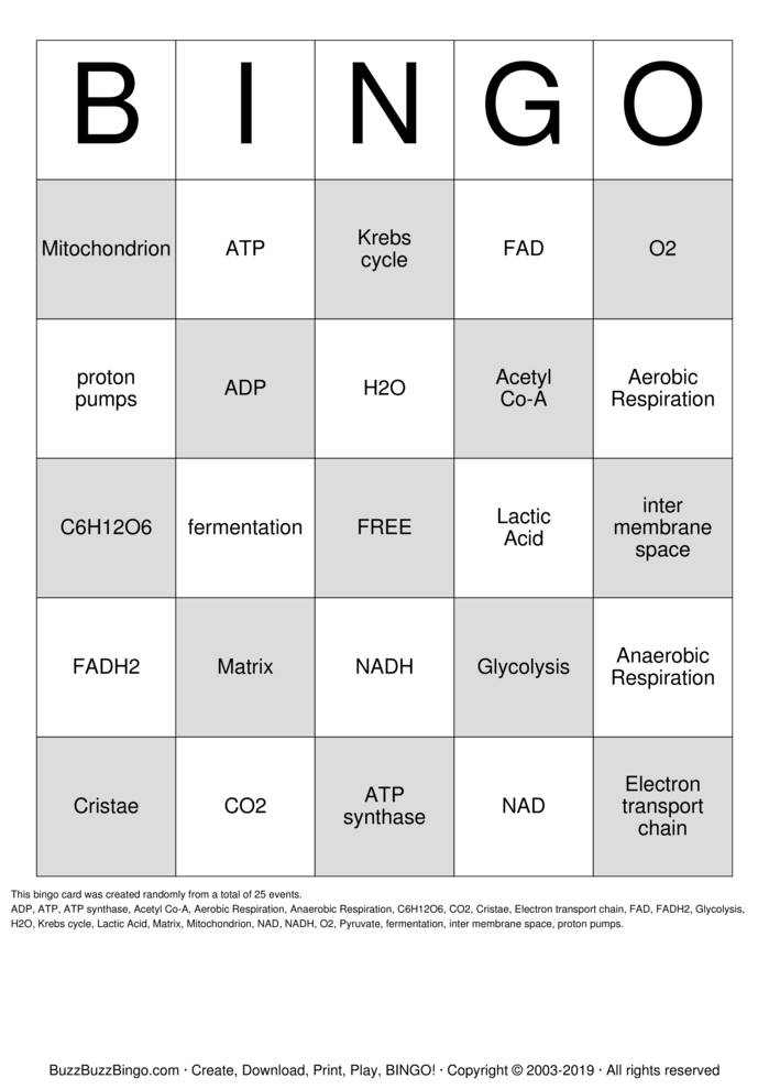 Cellular Respiration Bingo Cards to Download, Print and Customize!