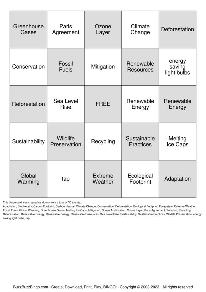 Vocabulary Bingo Cards to Download, Print and Customize!
