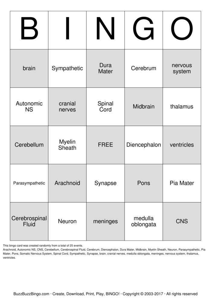 Nervous System Bingo Cards to Download, Print and Customize!
