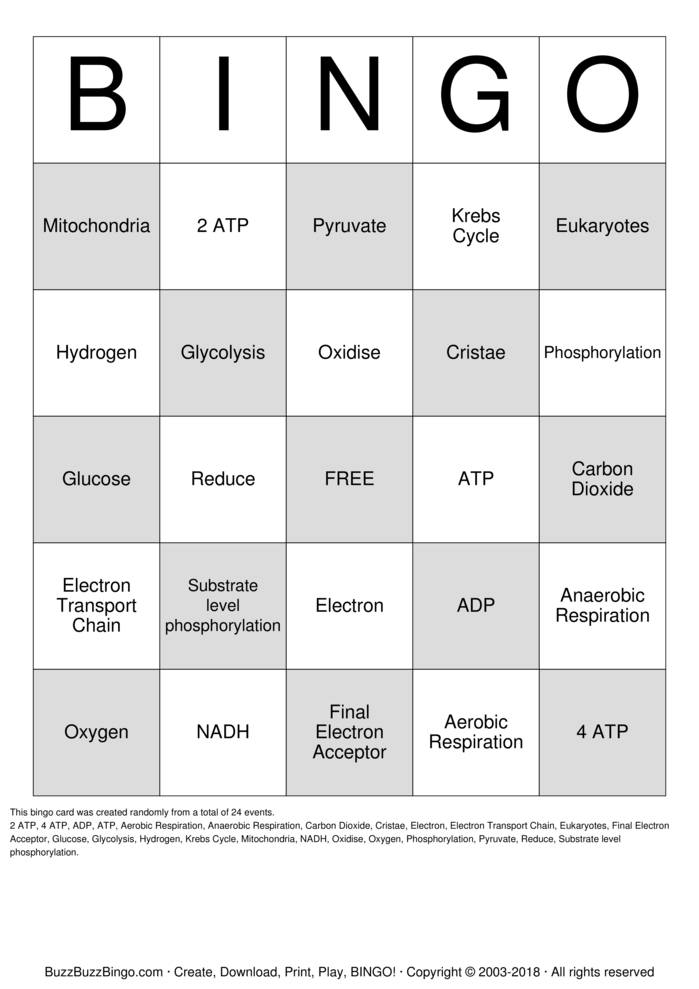 Celluar Respiration Bingo Cards to Download, Print and Customize!