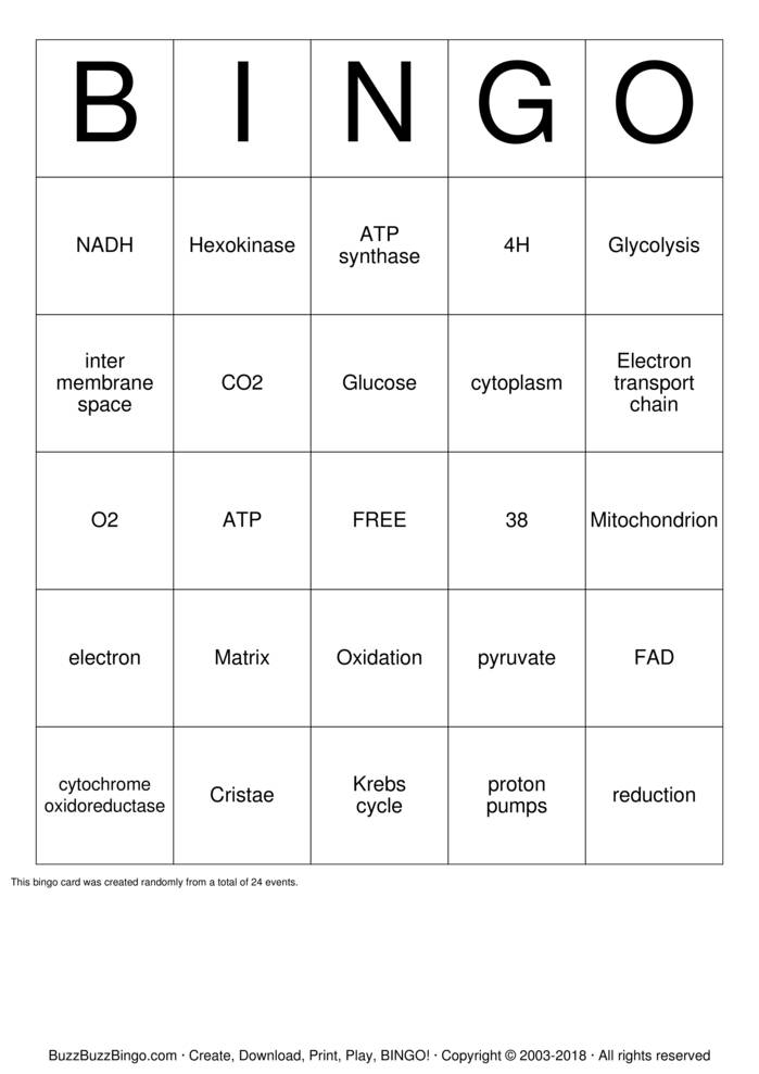 Cellular Respiration Bingo Cards to Download, Print and Customize!