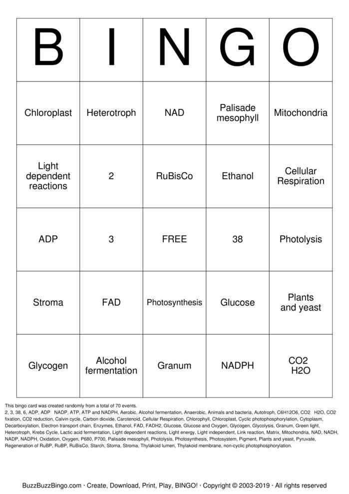 Cellular Respiration and Photosynthesis Bingo Cards to Download, Print ...