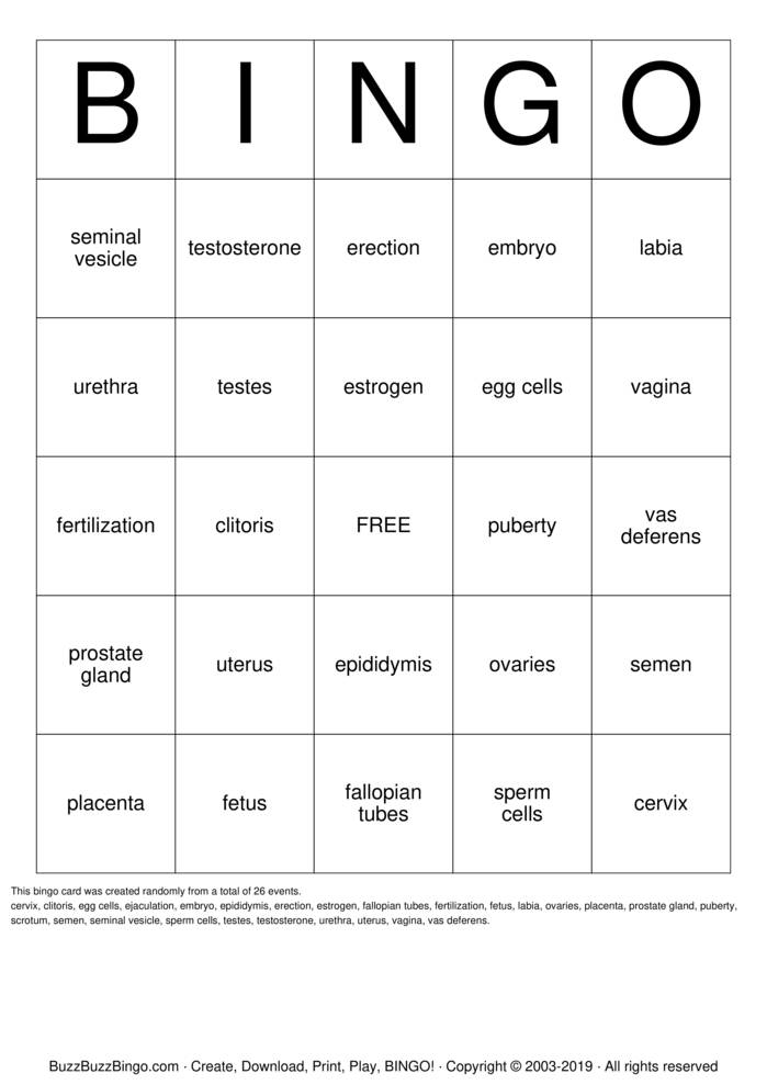 Ladies Night Bingo Bingo Cards to Download, Print and Customize!