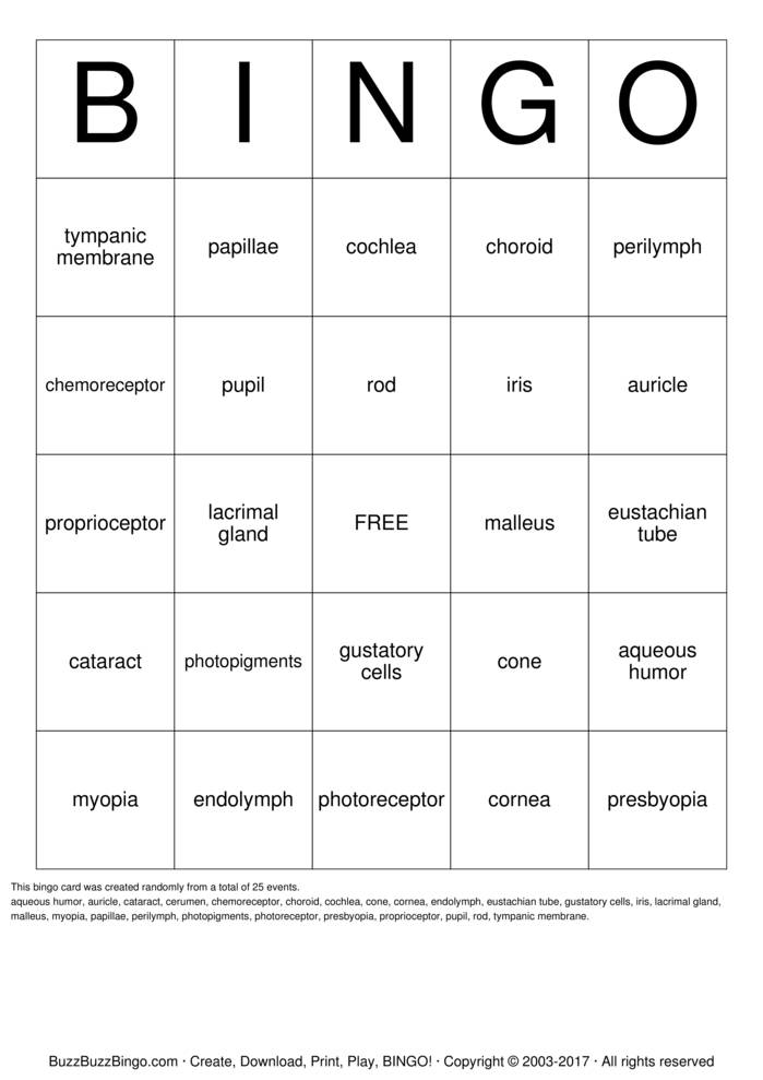 The Senses Bingo Cards to Download, Print and Customize!