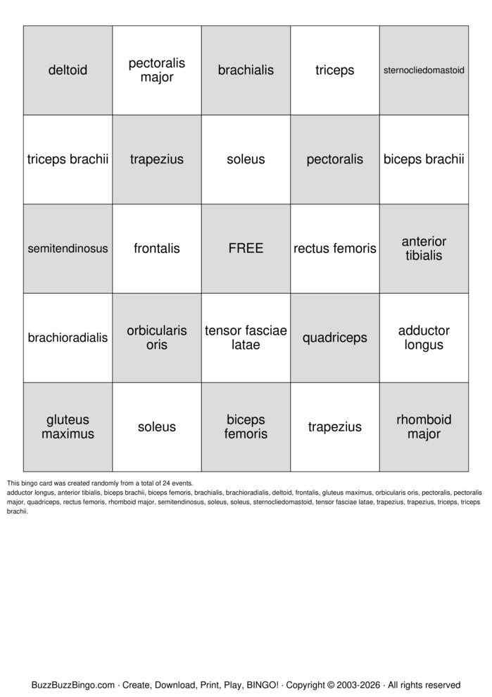 Muscular System Bingo Cards to Download, Print and Customize!