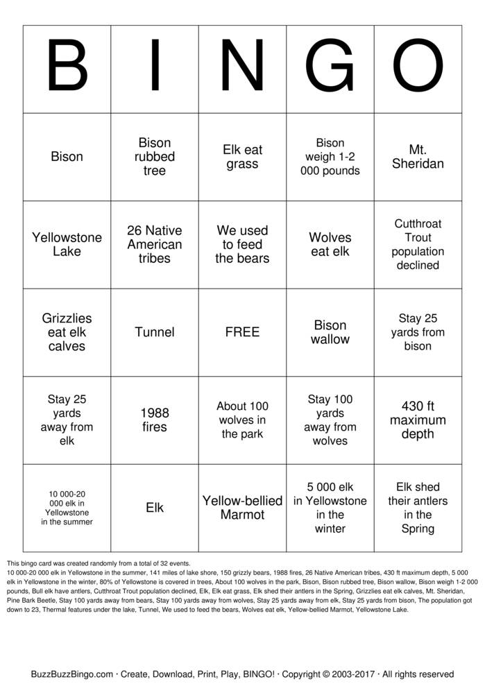 Storm Point Bingo Bingo Cards to Download, Print and Customize!