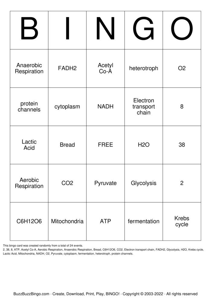 Cellular Respiration Bingo Cards to Download, Print and Customize!