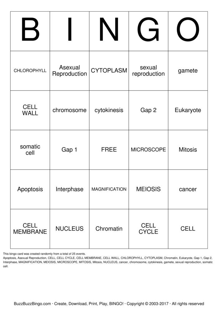 Cell Cycle Vocabulary Bingo Cards To Download Print And Customize cell-cycle-vocabulary-bingo-cards-to-download-print-and-customize