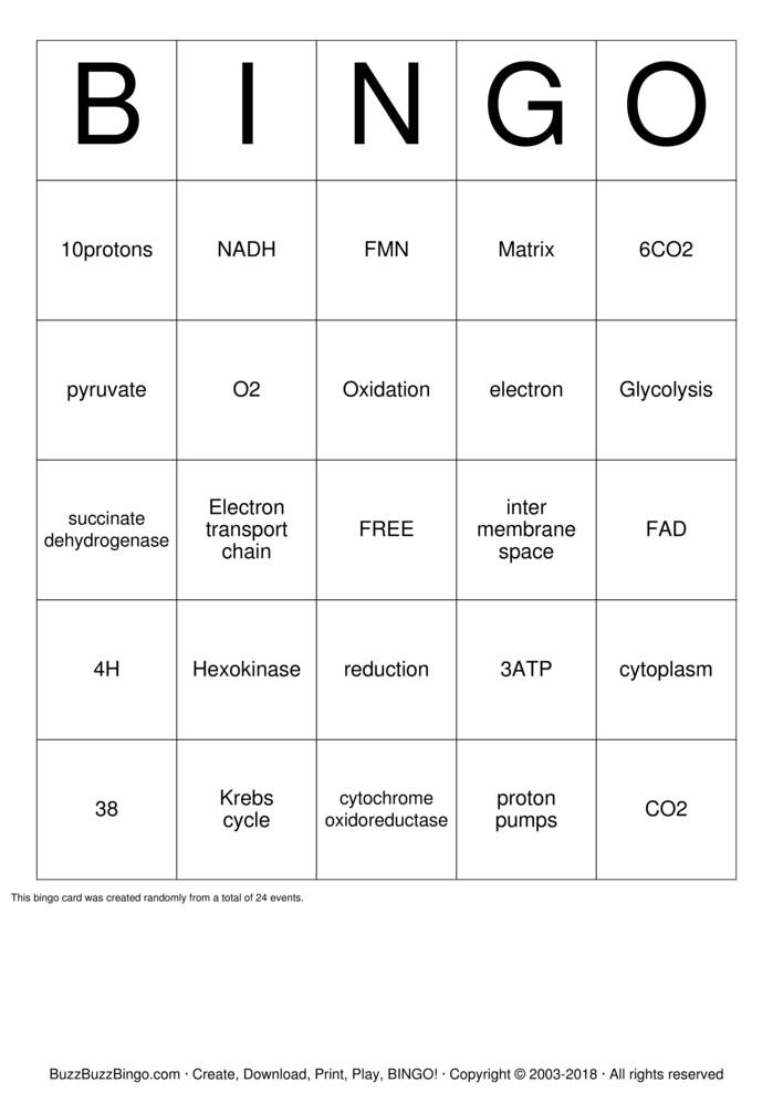 Cellular Respiration Bingo Cards to Download, Print and Customize!