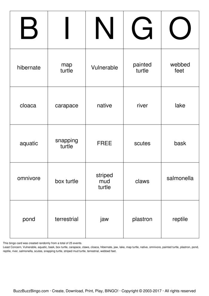 Custom Bingo Cards to Download, Print and Customize!