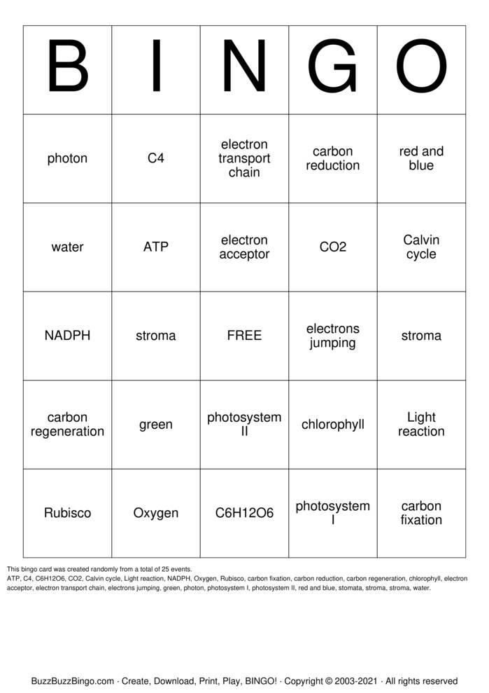 Photosynthesis Bingo Cards to Download, Print and Customize!