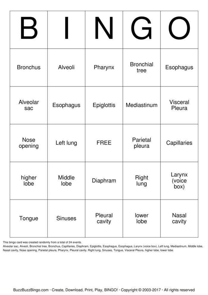 Respiratory System Bingo Cards to Download, Print and Customize!