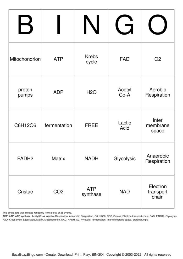 Cellular Respiration Bingo Cards to Download, Print and Customize!