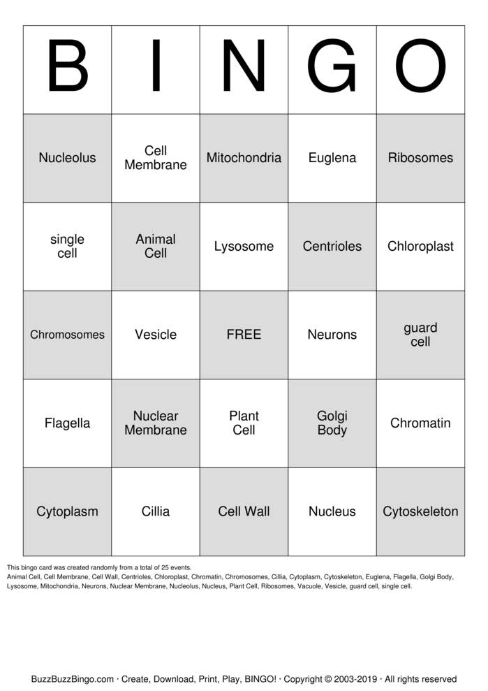plant and animal cell game Bingo Cards to Download, Print and Customize!