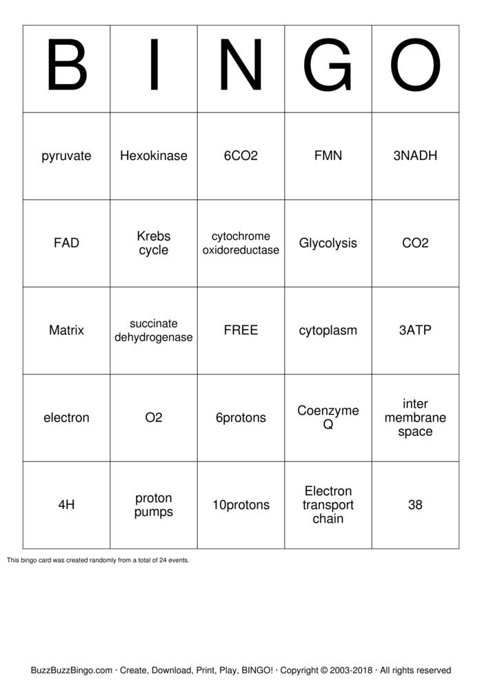 Cellular Respiration Bingo Cards to Download, Print and Customize!