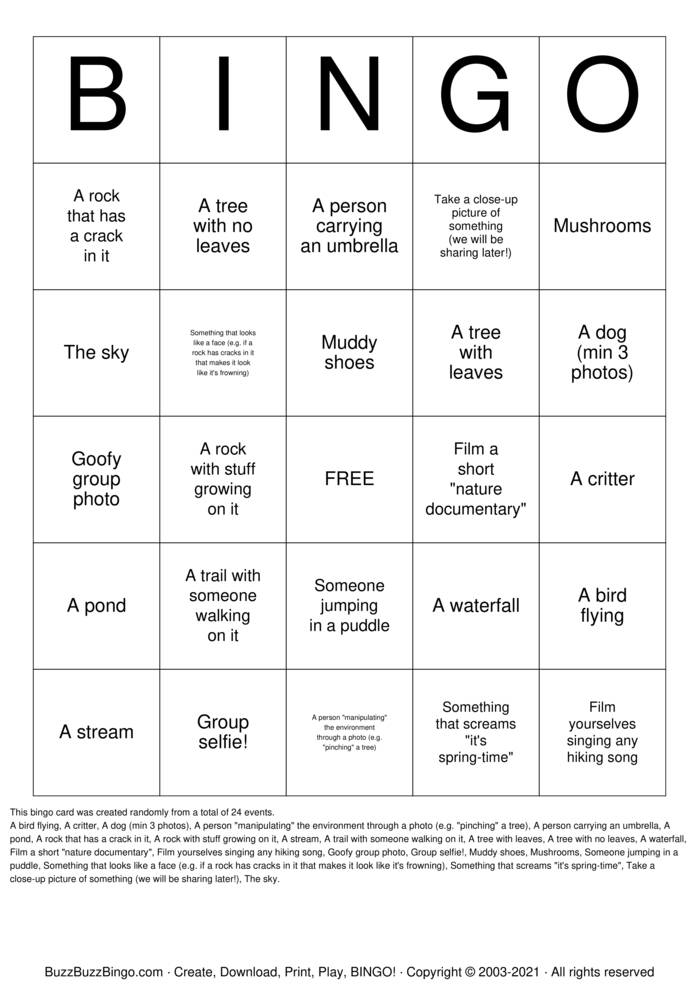 Take a Picture of... Bingo Cards to Download, Print and Customize!