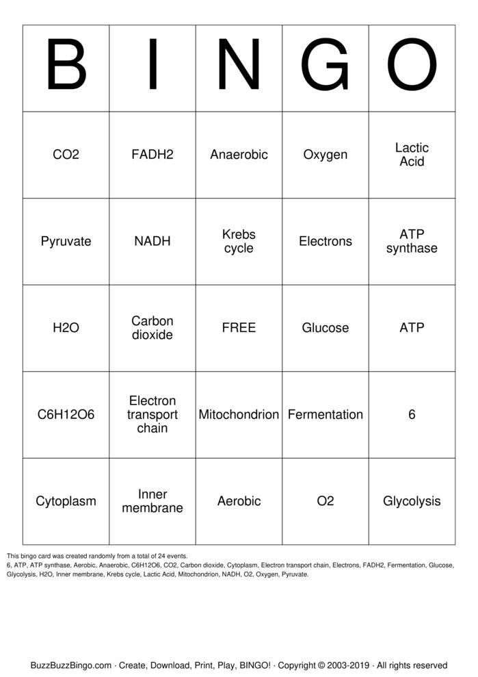 Cellular Respiration Bingo Cards to Download, Print and Customize!
