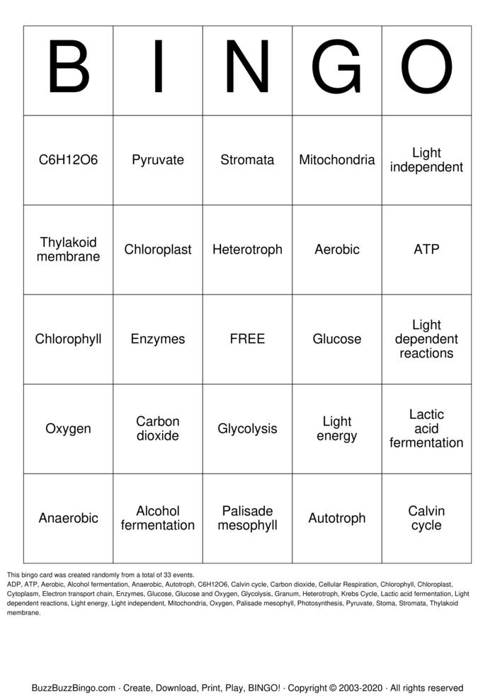 Cellular Respiration and Photosynthesis Bingo Cards to Download, Print ...