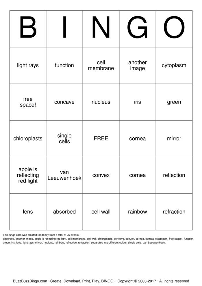 Custom Bingo Cards to Download, Print and Customize!