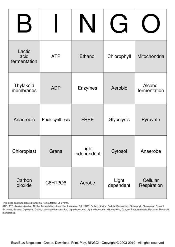 Cellular Respiration and Photosynthesis Bingo Cards to Download, Print ...