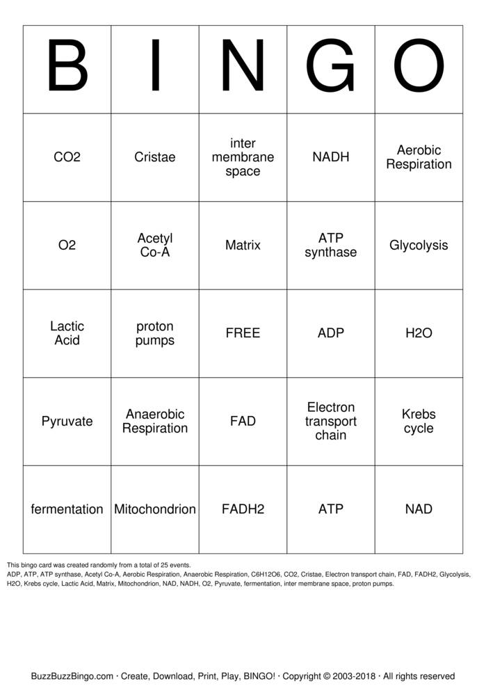 Cellular Respiration Bingo Cards to Download, Print and Customize!