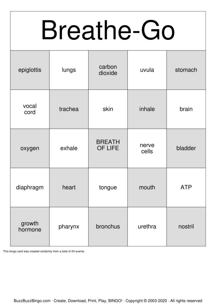 Respiratory System Bingo Cards to Download, Print and Customize!