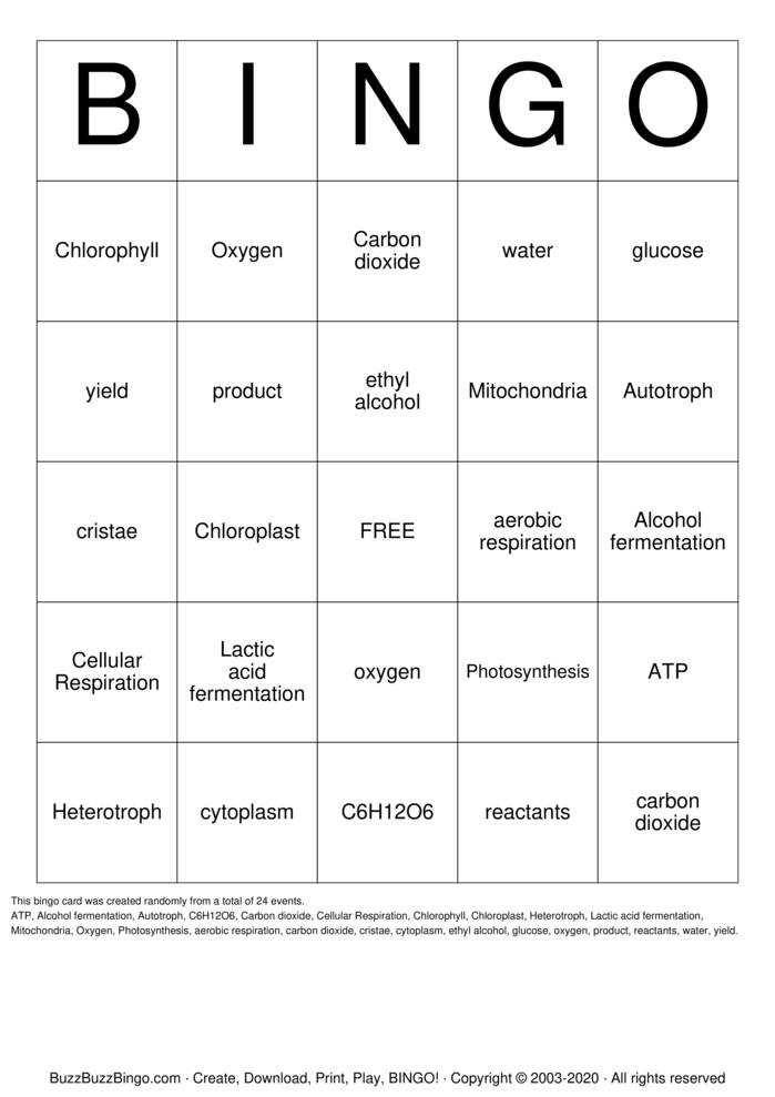 Cellular Respiration and Photosynthesis Bingo Cards to Download, Print ...