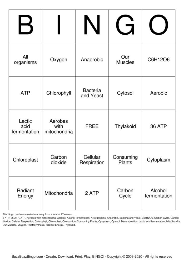 Cellular Respiration and Photosynthesis Bingo Cards to Download, Print ...