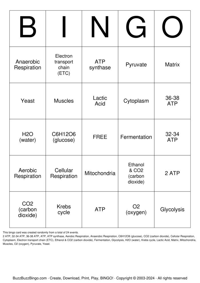Cellular Respiration Bingo Cards to Download, Print and Customize!